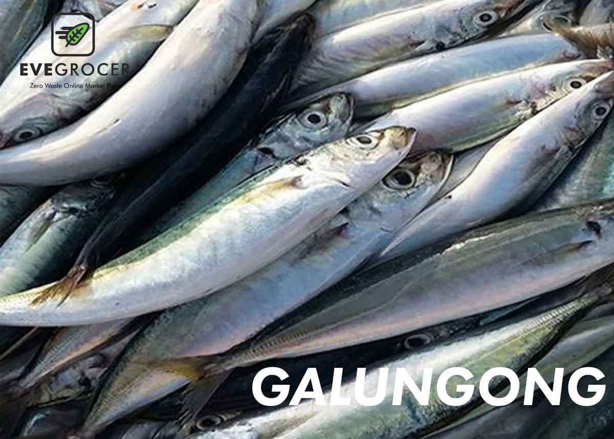 Galunggong – EveGrocer