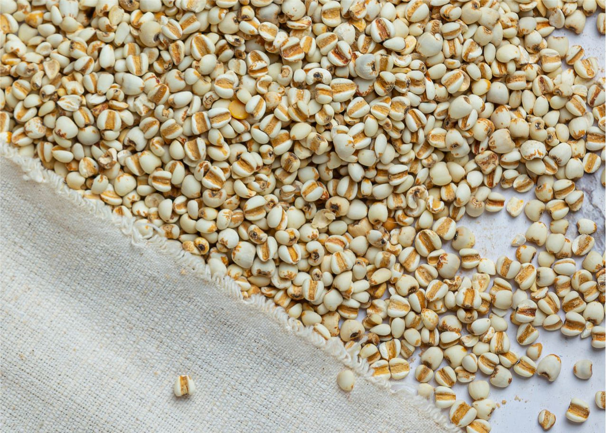 Adlai 25 kg – EveGrocer